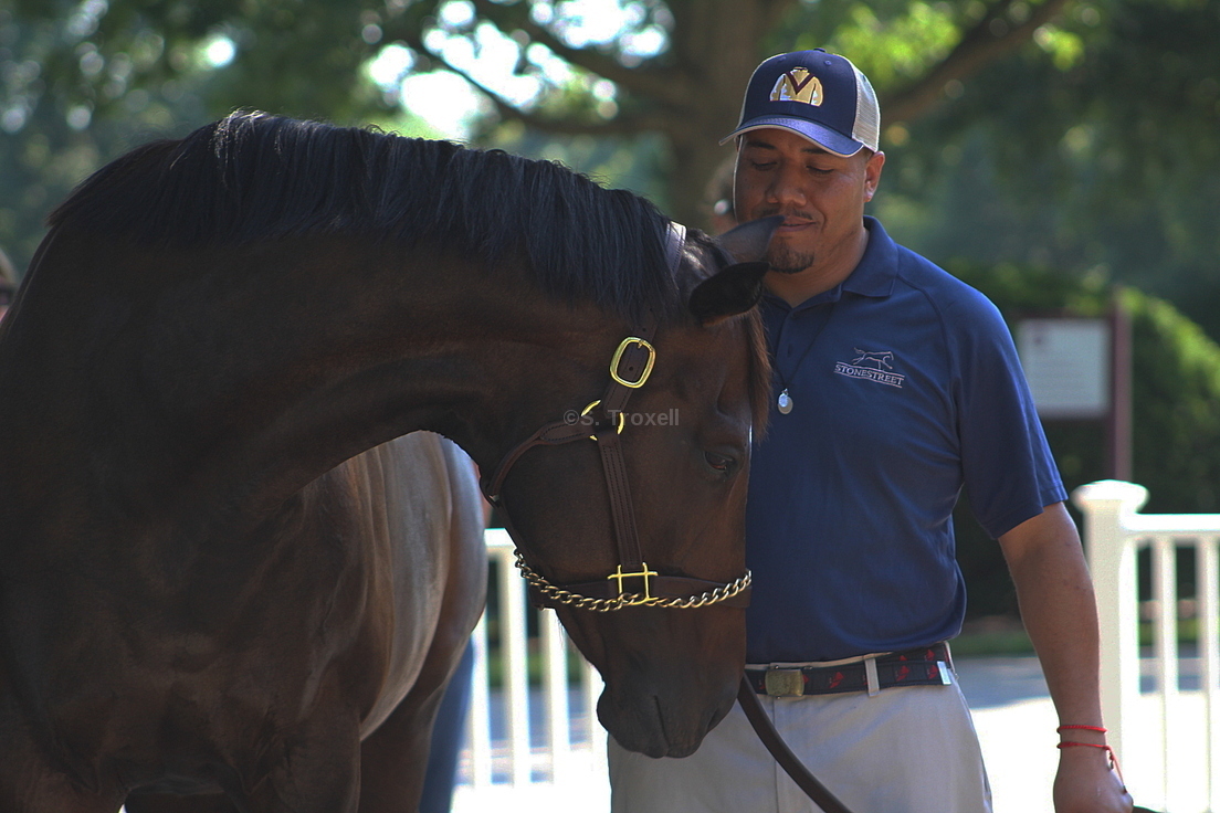 Celebrating Rachel Alexandra, “Haskell Legend” | Called To The Post